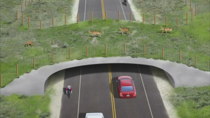 Animal Overpass Nears Completion in Colorado | Daniel R. Rosen